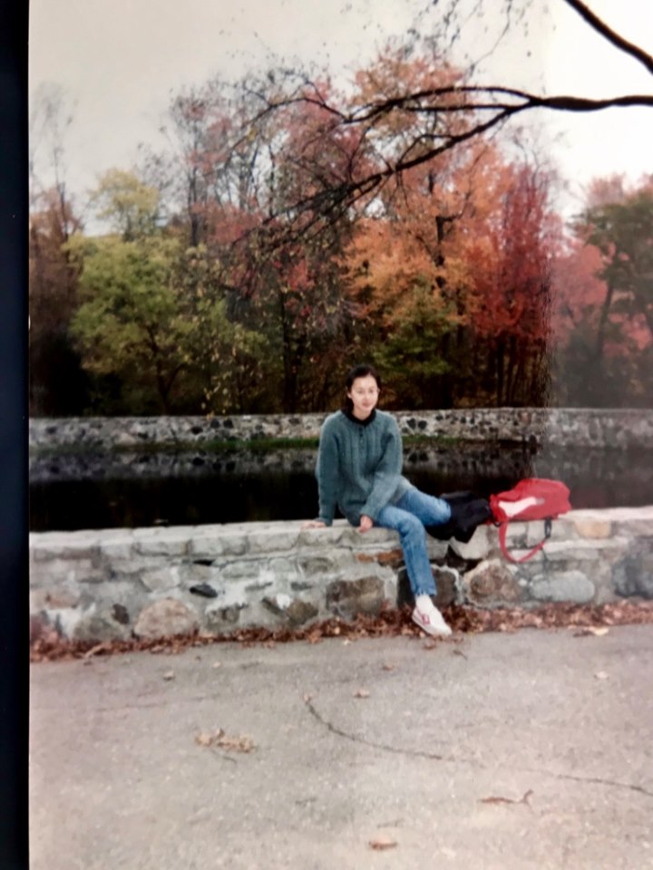 Lemberg Program, 1986-1994 – Peter A. Petri